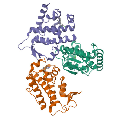 RCSB PDB - 8Z36: Crystal structure of HOIP PUB domain in complex with ...