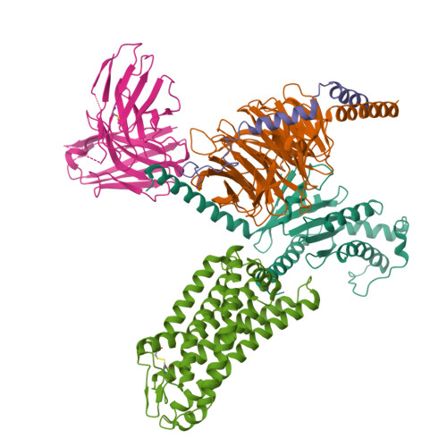 RCSB PDB - 8Z3Y: Cryo-EM structure of of hGPR4-Gs complex in pH6.8