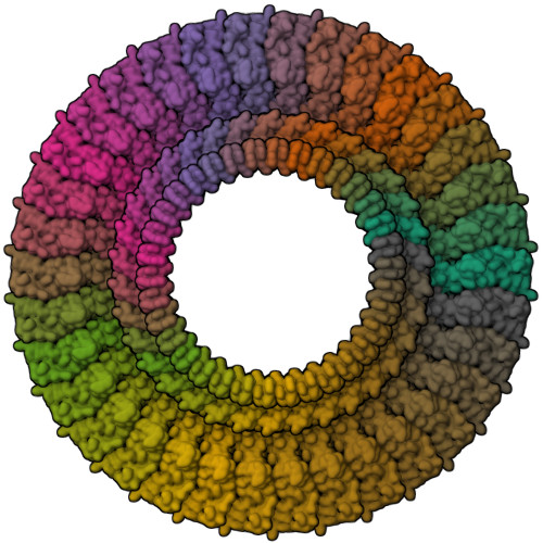 RCSB PDB - 8Z4D: Structure of the S-ring region of the Vibrio flagellar ...