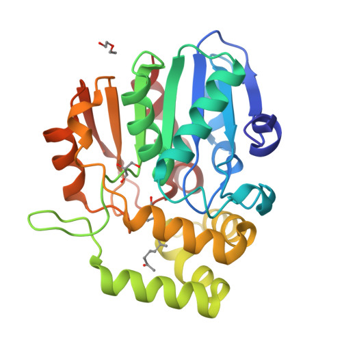 RCSB PDB - 8Z53: Arabidopsis Dwarf14 (AtD14) co-crystallized in the ...