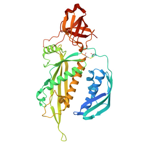 RCSB PDB - 8Z60: Cryo-EM structure of the polar flagellar motor-hook ...