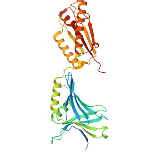 RCSB PDB - 8Z60: Cryo-EM structure of the polar flagellar motor-hook ...