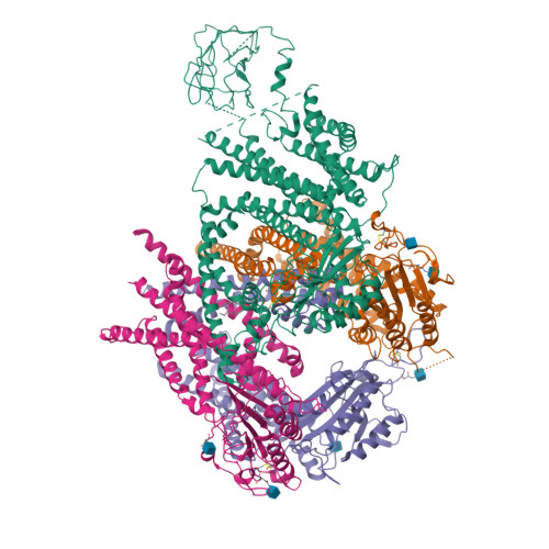RCSB PDB - 8Z6B: Structure of Polycystin-1/Polycystin-2 complex