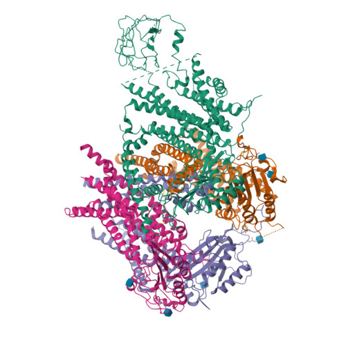 RCSB PDB - 8Z6H: Structure of Polycystin-1/Polycystin-2 complex with ...