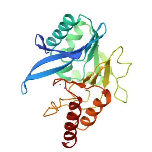 RCSB PDB - 8Z7M: The crystal structure of AFM-1