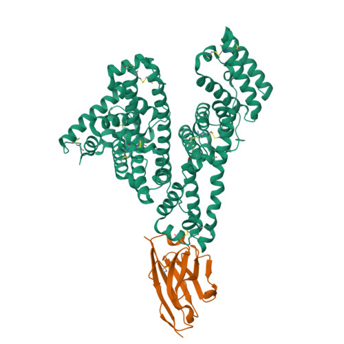 RCSB PDB - 8Z8V: Crystal structure of human serum albumin in complex ...