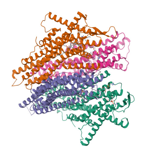 RCSB PDB - 8Z9A: Cryo-EM structure of the insect olfactory receptor OR5-Orco heterocomplex from ...