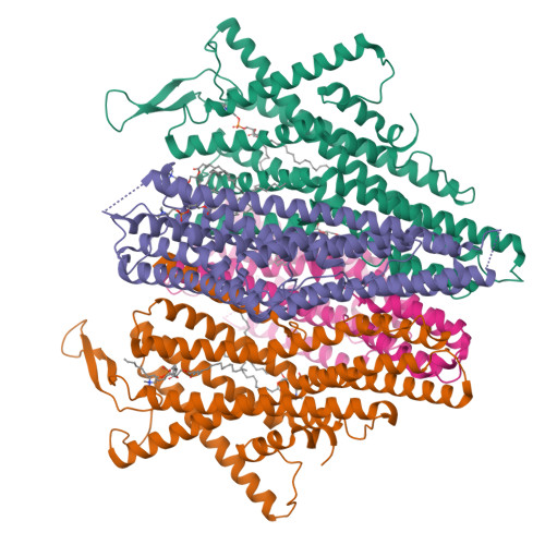 RCSB PDB - 8Z9Z: Cryo-EM structure of the insect olfactory receptor OR5-Orco heterocomplex from ...