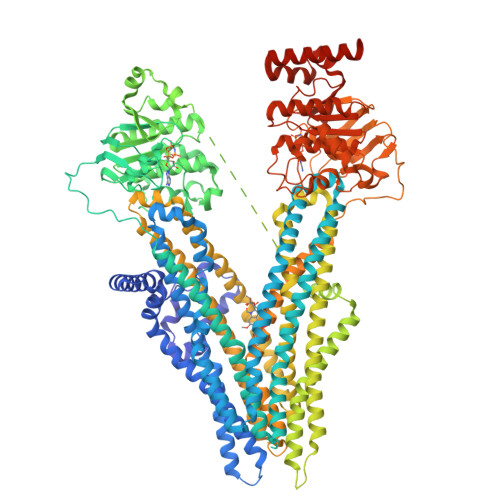 RCSB PDB - 8ZBS: Cryo-EM structure of nanodisc-reconstituted wildtype ...