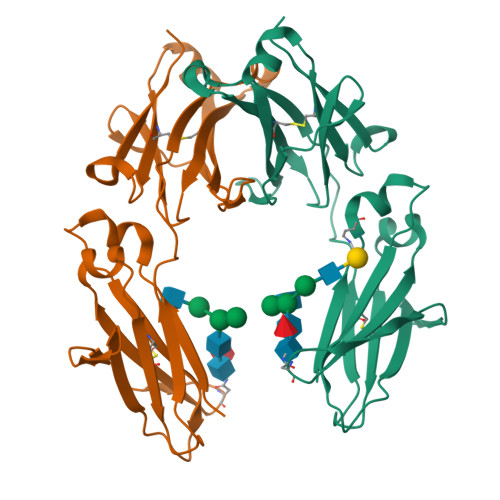 RCSB PDB - 8ZCK: Serial Femtosecond Crystallography Structure of Fc ...