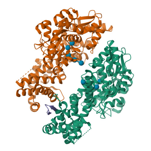 RCSB PDB - 8ZCS: Crystal structure of the MBP-MCL1 complex with highly ...