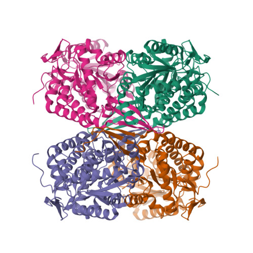 RCSB PDB - 8ZCX: Crystal Structure of a novel Aldehyde Dehydrogenase ...
