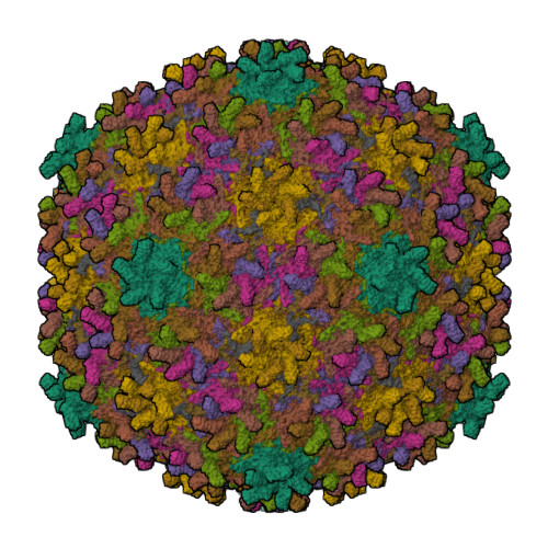 RCSB PDB - 8ZDH: Cryo-EM structure of Mycobacteriophage Douge genome ...