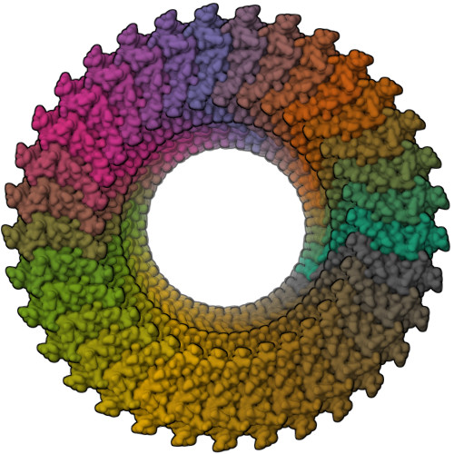 RCSB PDB - 8ZDT: Structure of the RBM3 ring of Salmonella flagellar MS ...