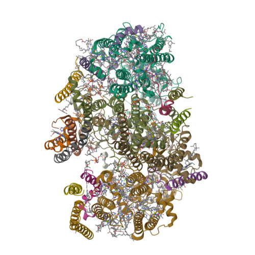 RCSB PDB - 8ZEE: Cryo-EM structure of an intermediate-state PSII-PRF2 ...