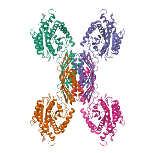 RCSB PDB - 8ZEL: Crystal structure of human cytosolic beta-alanyl ...