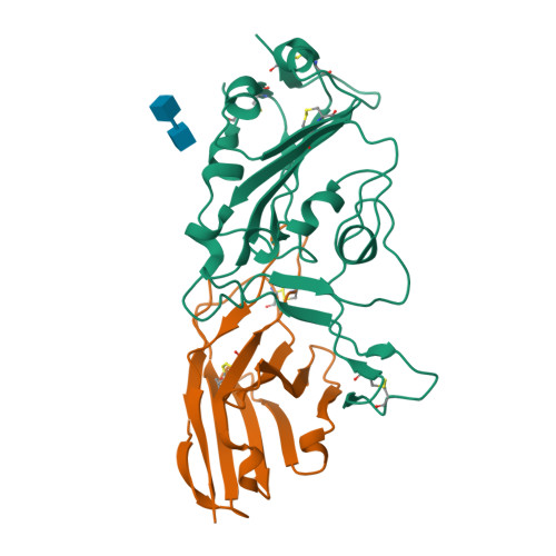 RCSB PDB - 8ZES: Crystal structure of the Wuhan SARS-CoV-2 RBD (333-541 ...