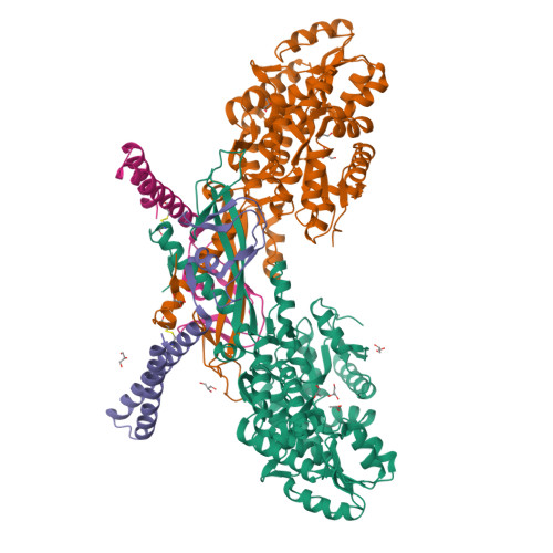 RCSB PDB - 8ZHS: Structure of Mbp-Bte1 fusion protein