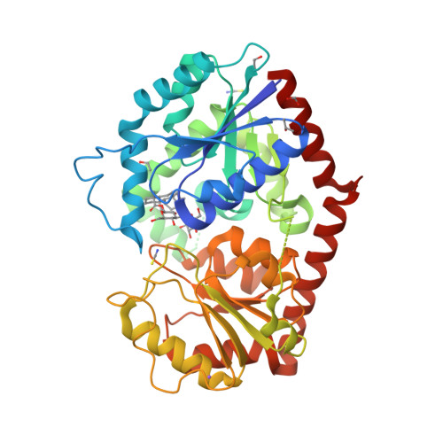 RCSB PDB - 8ZI7: Crystal structure of SrUGT76G4 in complex with Rubusoside