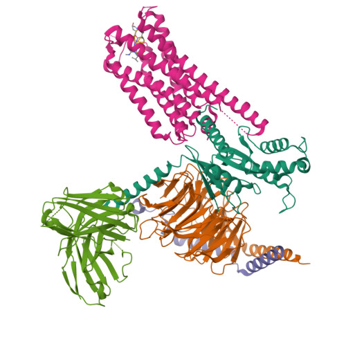 RCSB PDB - 8ZJE: Cryo-EM structure of kisspeptin receptor bound to TAK-448