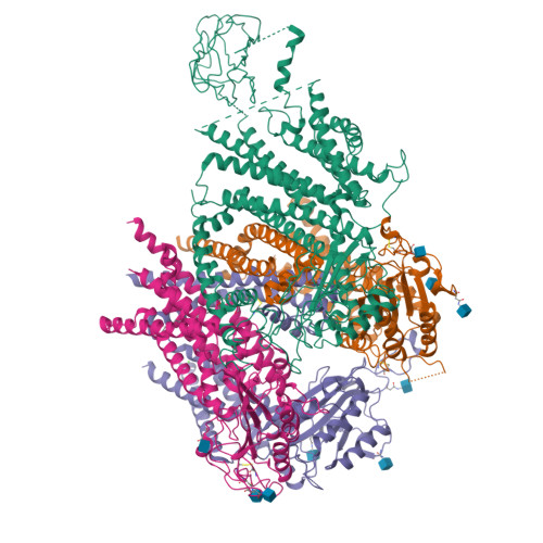 RCSB PDB - 8ZKH: Structure of Polycystin-1/Polycystin-2 complex with ...