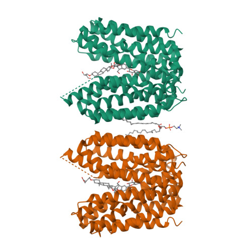 RCSB PDB - 8ZKN: CryoEM structure of Thyroid Hormone Transporter MCT8 ...