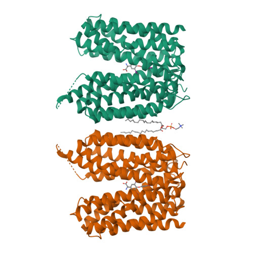 RCSB PDB - 8ZKO: CryoEM structure of Thyroid Hormone Transporter MCT8