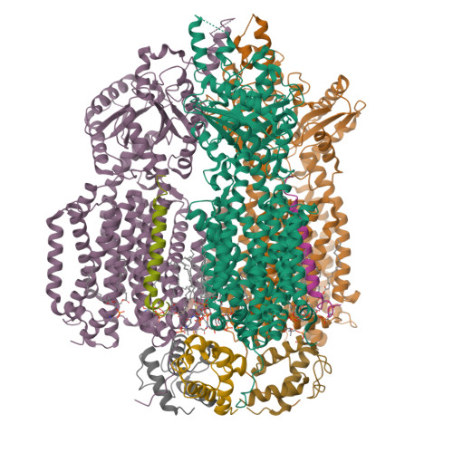 RCSB PDB - 8ZKQ: Cryo-EM structure of the efflux transporter MmpL5 ...