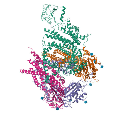 RCSB PDB - 8ZKR: Structure of Polycystin-1/Polycystin-2 complex with ...