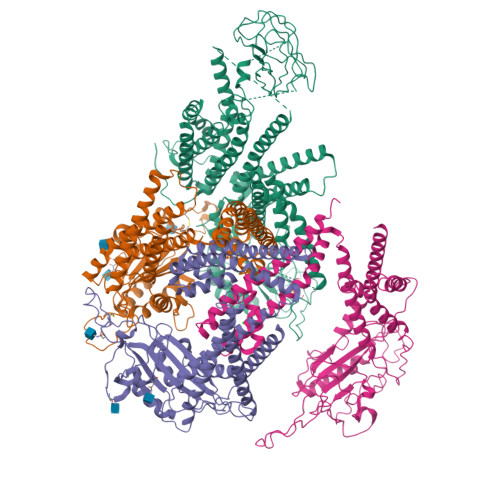 RCSB PDB - 8ZKS: Structure of Polycystin-1/Polycystin-2 complex with ...