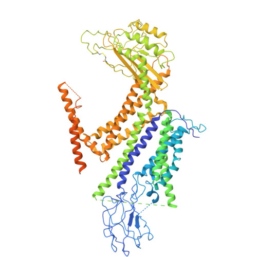 RCSB PDB - 8ZKS: Structure of Polycystin-1/Polycystin-2 complex with ...