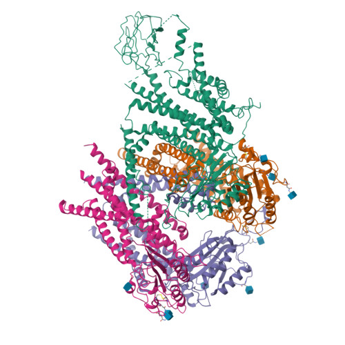 RCSB PDB - 8ZKT: Structure of Polycystin-1/Polycystin-2 complex with ...