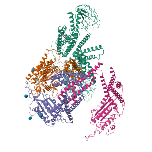 RCSB PDB - 8ZKU: Structure of Polycystin-1/Polycystin-2 complex with ...