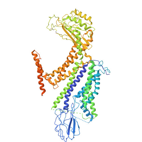 RCSB PDB - 8ZKU: Structure of Polycystin-1/Polycystin-2 complex with ...