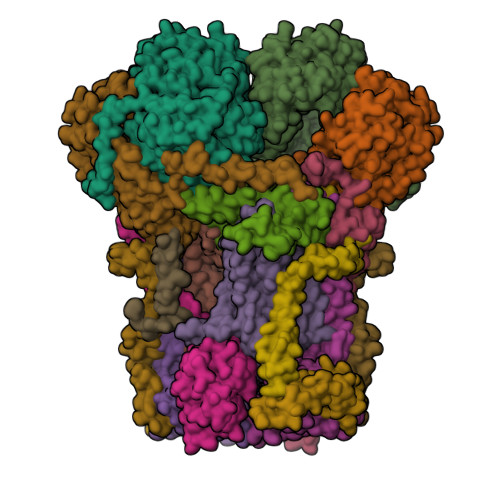 RCSB PDB - 8ZOM: Cryo-EM structure of pyraclostrobin-bound Arachis ...