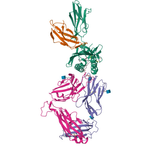 RCSB PDB - 8ZOX: 3D structure of Y-50 TCR-TMM-CD1b ternary complex