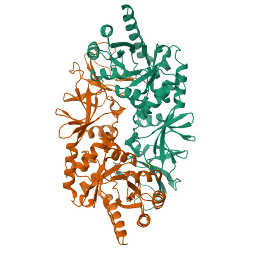 RCSB PDB - 8ZPG: SFX reaction state structure (20-40min) of alanine ...