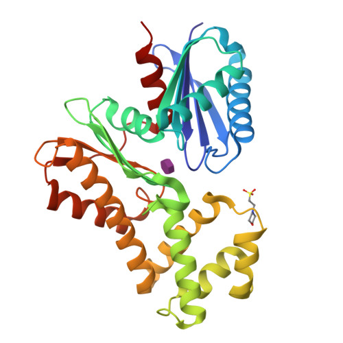 RCSB PDB - 8ZPO: The crystal structures of MurK in complex with N ...
