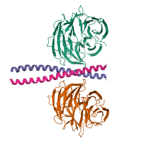 RCSB PDB - 8ZQG: Crystal structure of WIPI3 in complex with ATG16L1