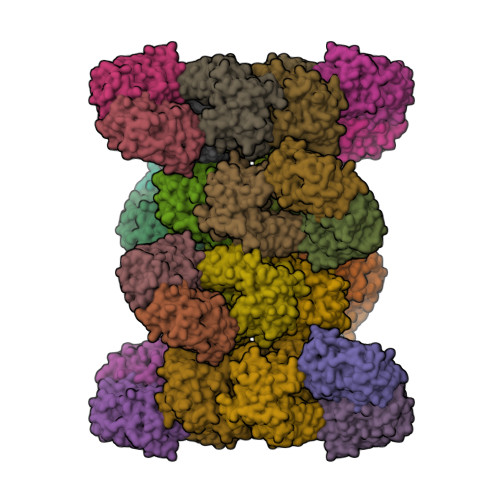 RCSB PDB - 8ZSH: Cryo-EM Helical Structure of dITP-activated KomBC complex