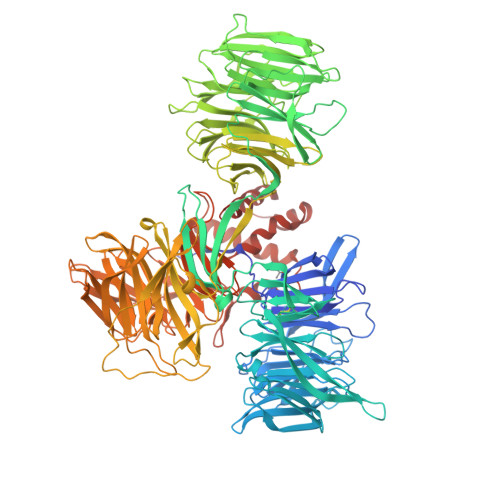 RCSB PDB - 8ZSW: Crystal Structure of Human DDB1, a Component of the E3 ...
