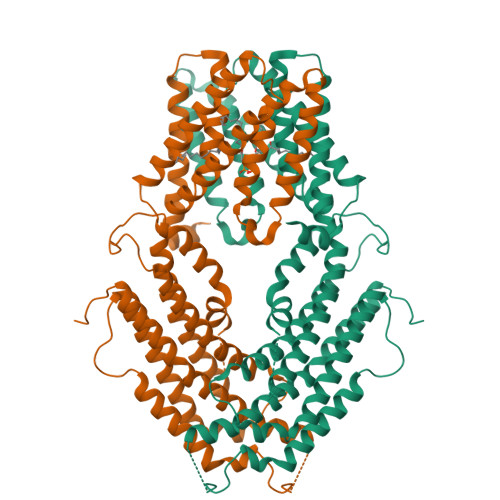 RCSB PDB - 8ZTK: AtALMT9 with LMNG (cis2 class)