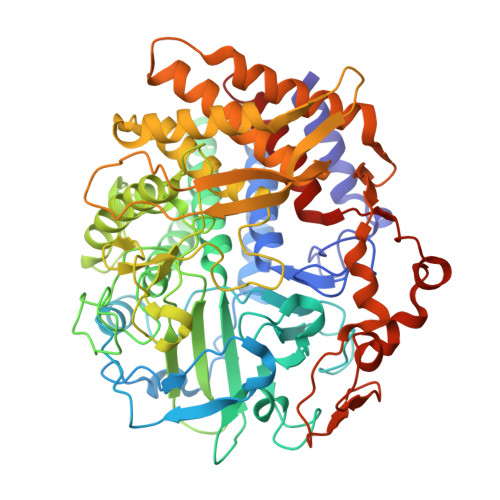 RCSB PDB - 8ZU1: CryoEM structure of a cellulose CelS in monomeric form