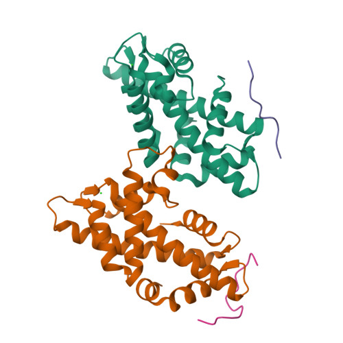 RCSB PDB - 8ZVY: Alpha-Synuclein with H2a-H2b dimer complex structure.