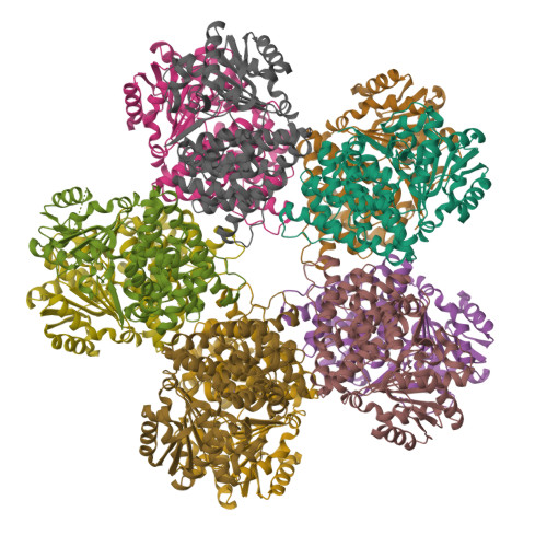 RCSB PDB - 8ZWD: Crystal structure of methanol dehydrogenase1 from ...