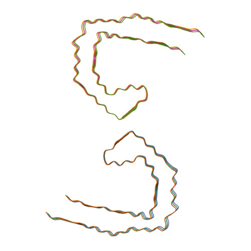RCSB PDB - 8ZWL: Heparin bound Tau fibril polymorph 3