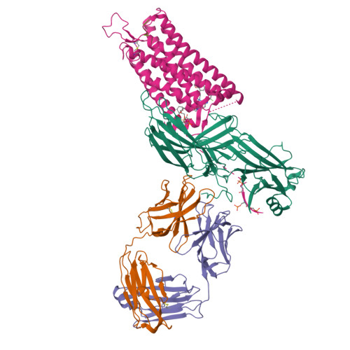 RCSB PDB - 8ZYT: Cryo-EM structure of neurotensin receptor 1 in complex ...