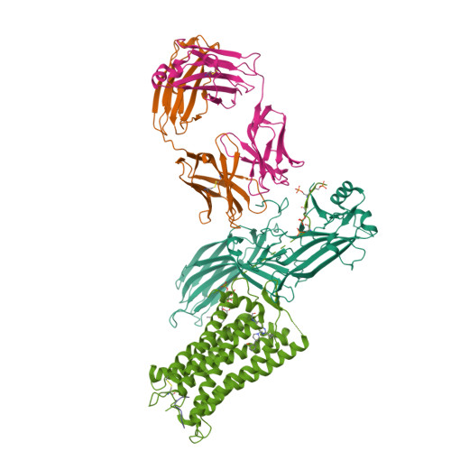 RCSB PDB - 8ZYY: Cryo-EM structure of neurotensin receptor 1 in complex ...