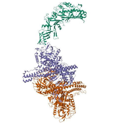 RCSB PDB - 9ARJ: CryoEM structure of BoNT-NTNH-OrfX2 complex from ...