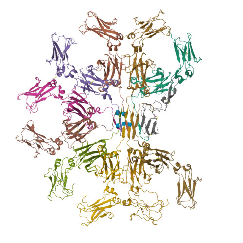 RCSB PDB - 9ARV: CryoEM structure of AMETA-A3